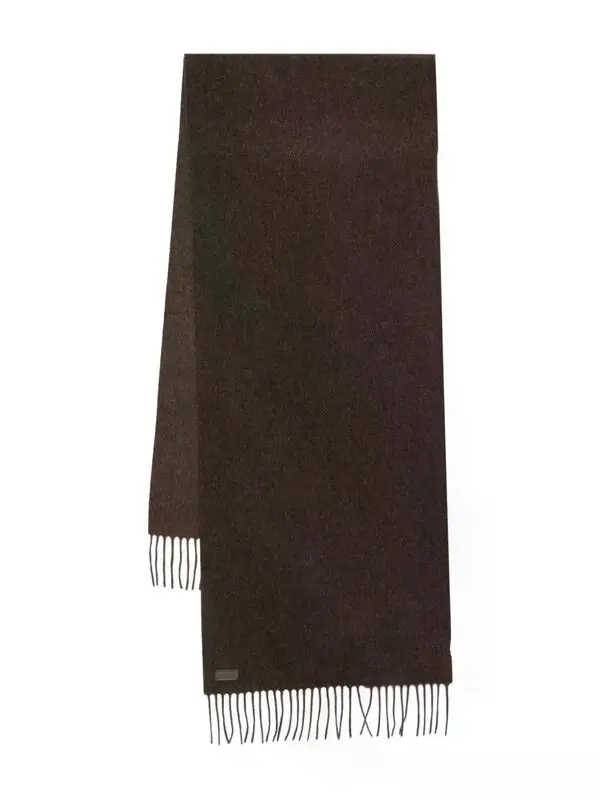Canali Fringed Scarf - Brown