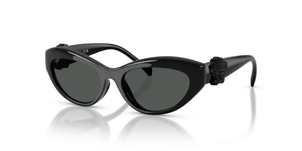 Versace Vk4005u Sunglasses - Noir