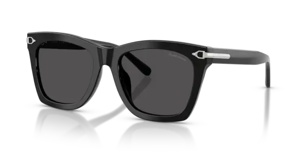 Ralph Lauren Rl8235u Sunglasses - Shiny Black