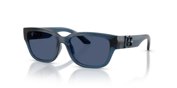 Dolce & Gabbana Sunglasses Dx6009 - Transparent Blue