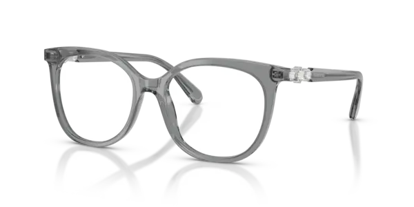 SWAROVSKI Sk2055 Eyewear - Transparent Gris