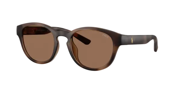 Polo Ralph Lauren Ph4233u Sunglasses - Matte Dark Havana