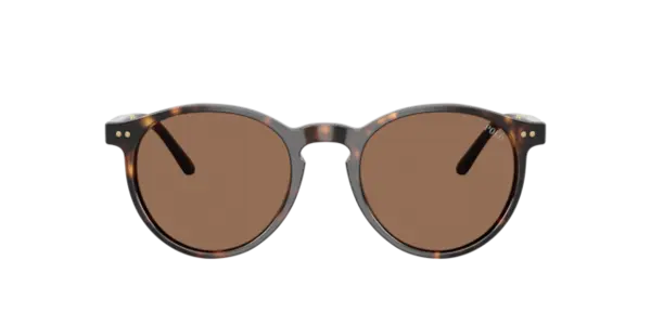 Polo Ralph Lauren Round Frame Sunglasses - Shiny Dark Havana