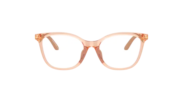 Emporio Armani Ek3011u Eyeglasses Butterfly - Shiny Transparent Beige