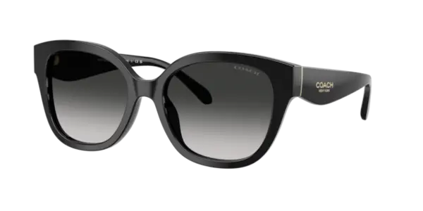 Coach Striated Maple Sunglasses - Black
