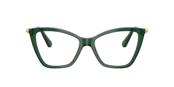 SWAROVSKI Sk2051 Optical Frames - Transparent Green