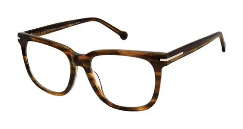 COLORS IN OPTICS Cameron Reading Glasses - Tortoise