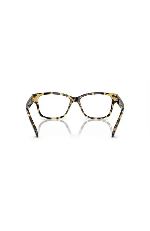 SWAROVSKI 52mm Rectangle Optical Glasses - Brown