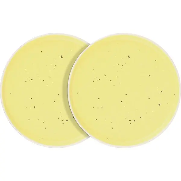 STONE + LAIN Elena Stoneware 4-piece Dinner Plate Set - Yellow