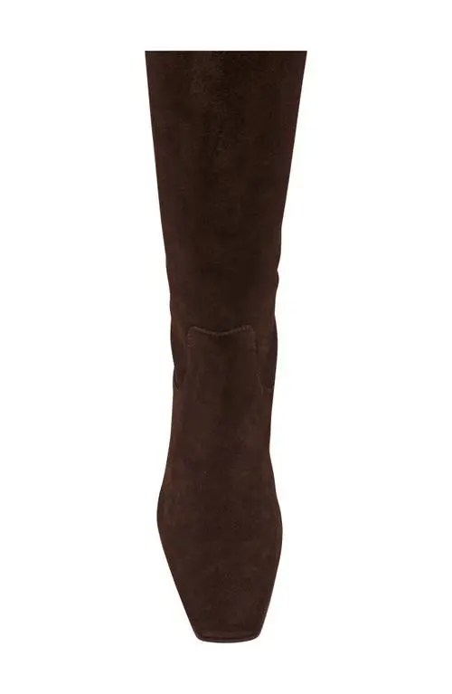 Steve Madden Dantelle Knee High Boot - Brown Suede