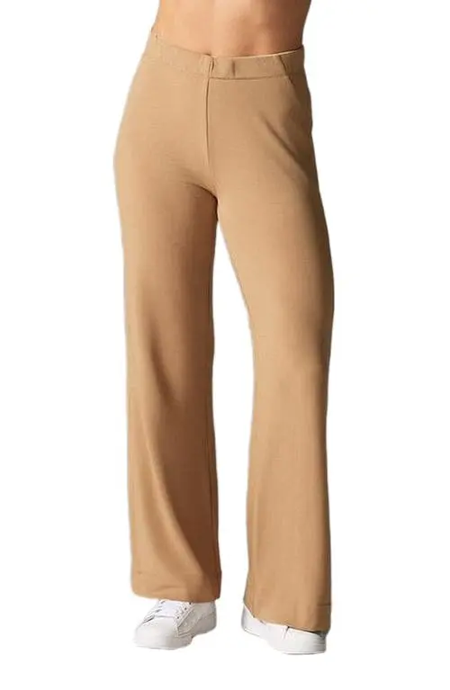 TAVI Cozy Luxe Wide Leg Pant - Ebony