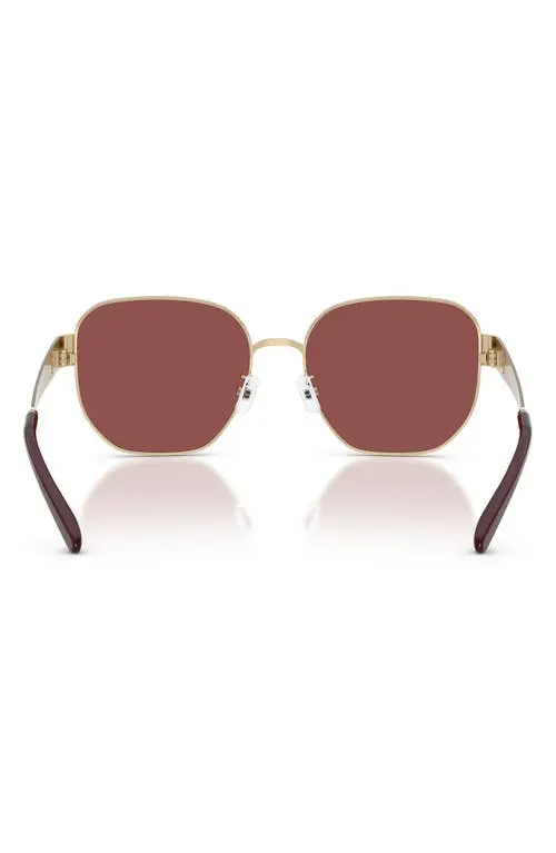 Tory Burch Irregular Sunglasses - Brushed Light Gold/wine