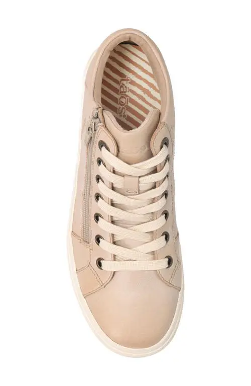 TAOS Winner High-top Sneaker - Oyster