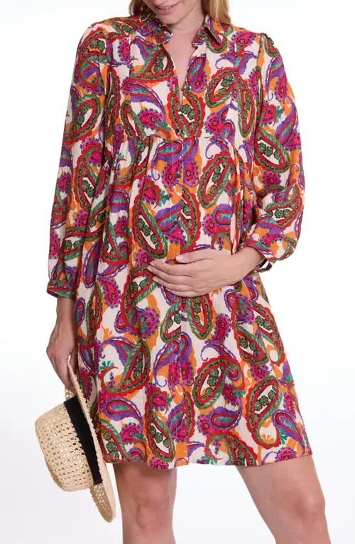 CACHE COEUR Soledad Maternity And Nursing Shirt Dress