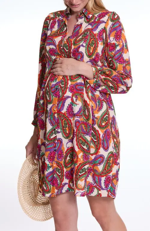 CACHE COEUR Soledad Maternity And Nursing Shirt Dress