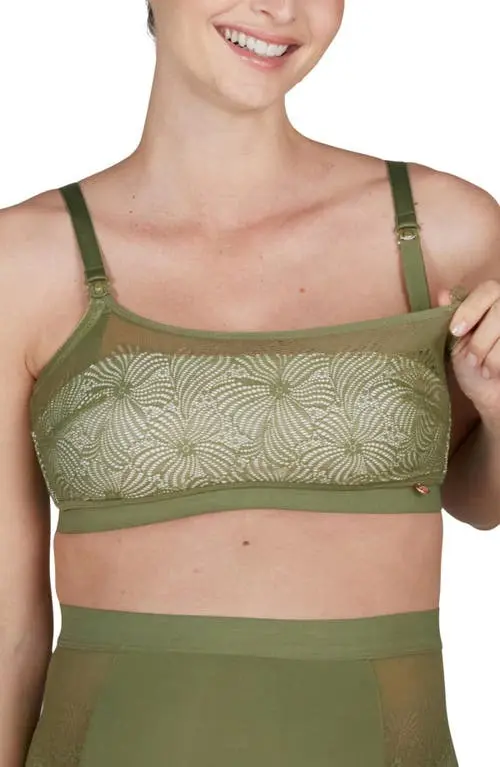 CACHE COEUR Dahlia Underwired Maternity And Nursing Bra - Khaki