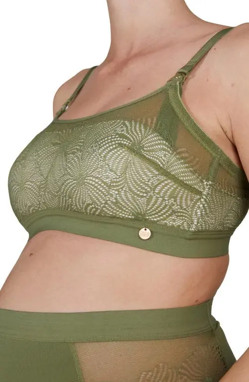 CACHE COEUR Dahlia Underwired Maternity And Nursing Bra - Khaki