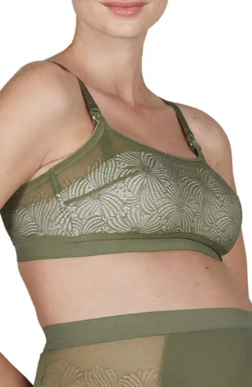 CACHE COEUR Dahlia Underwired Maternity And Nursing Bra - Khaki