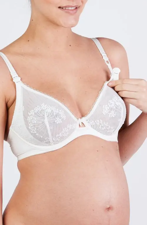 CACHE COEUR Louise Maternity And Nursing Bra Classic - Ivory
