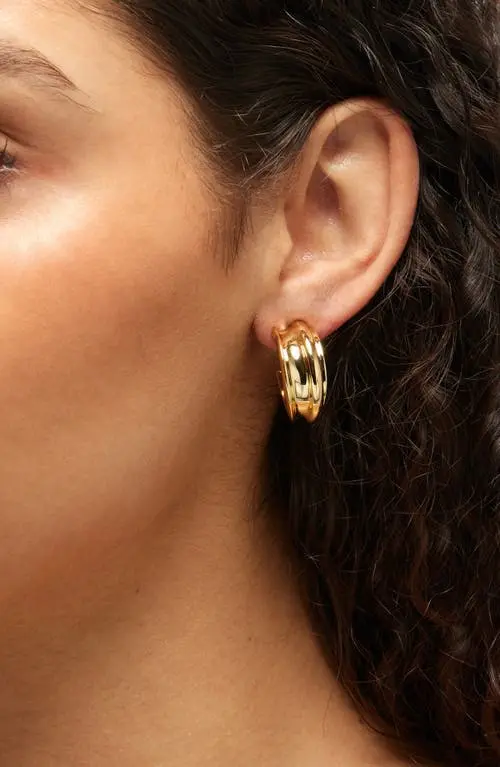 Jenny Bird Lennon Hoop Earrings - High Polish Gold