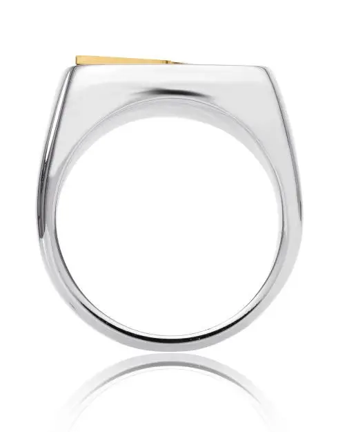 DC COMICS The Flash Stainless Steel Logo Ring