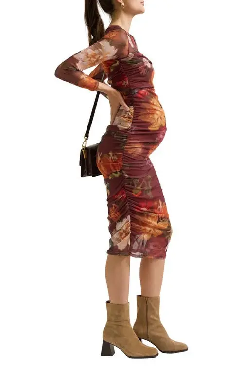 CACHE COEUR Vanessa Maternity & Nursing Dress