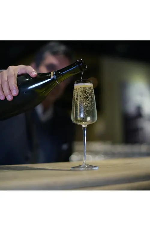 LUIGI BORMIOLI Talismano 13.5 Oz. Prosecco/champagne Flutes