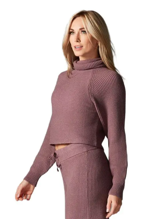 TAVI Alpine Knit Turtleneck