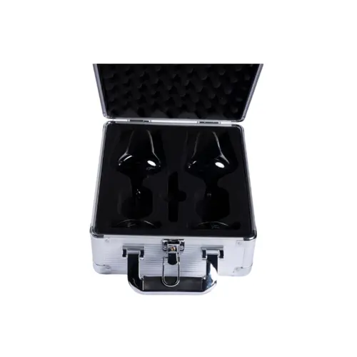 VINGARDEVALISE Vinglas 2-stem Wine Glass Case