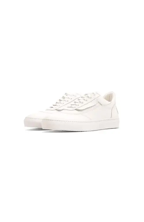 FINI Bold Leather Sneakers