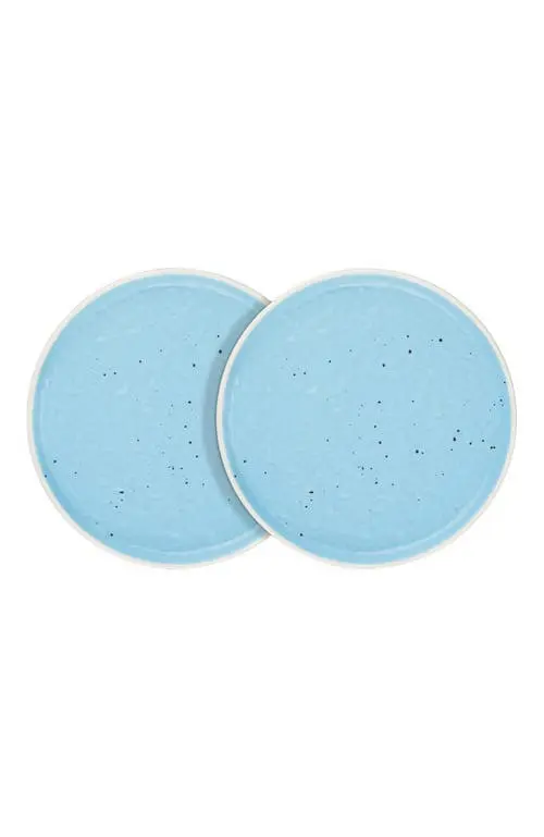 STONE + LAIN Elena Stoneware 4-piece Dinner Plate Set - Blue