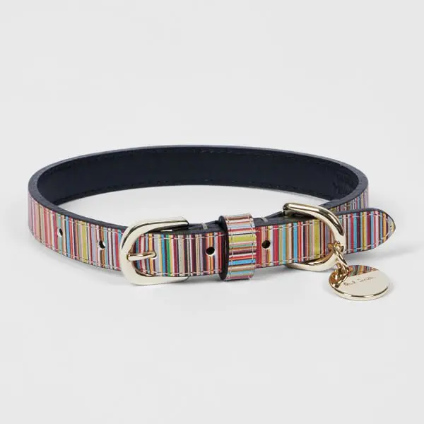 Paul Smith Signature Stripe' Calf Leather Dog Collar Small/medium - Multicolour