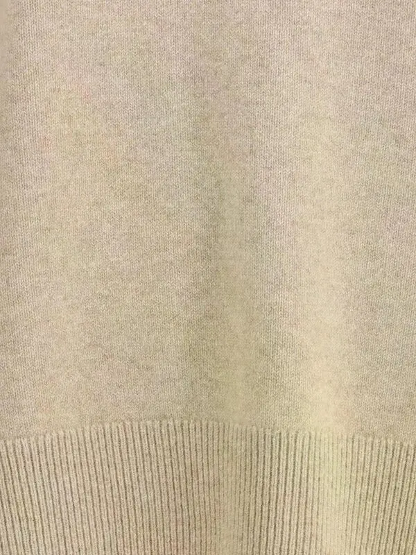 Extreme Cashmere N°431 Long Sleeves Sweater