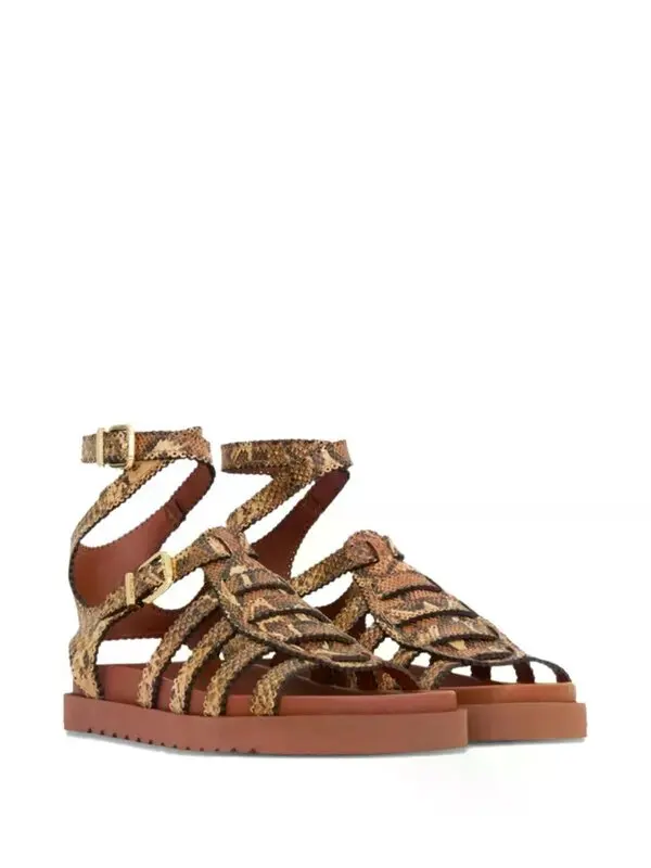 Zimmermann Goldie Gladiator Buckle Sandals