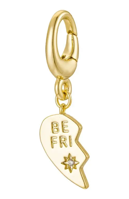 UNTAMED PETALS Best Friends Charm Set - Gold
