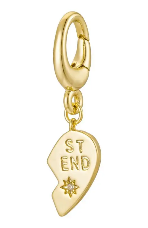 UNTAMED PETALS Best Friends Charm Set