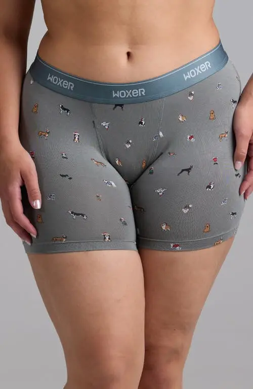 WOXER Baller Ultra-soft 5-inch Boxer Briefs - Sage Pups