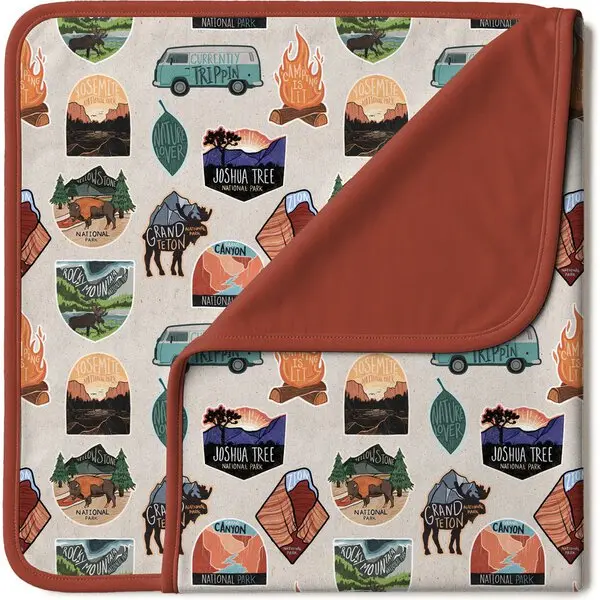 FLETCH Tiny Traveler Blanket - Multi