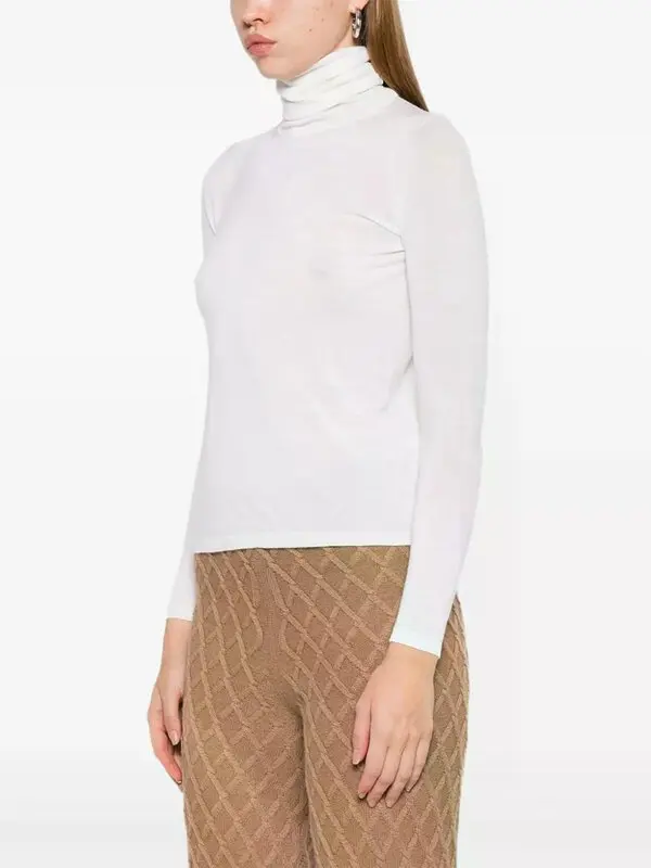 Max Mara Saluto Jumper