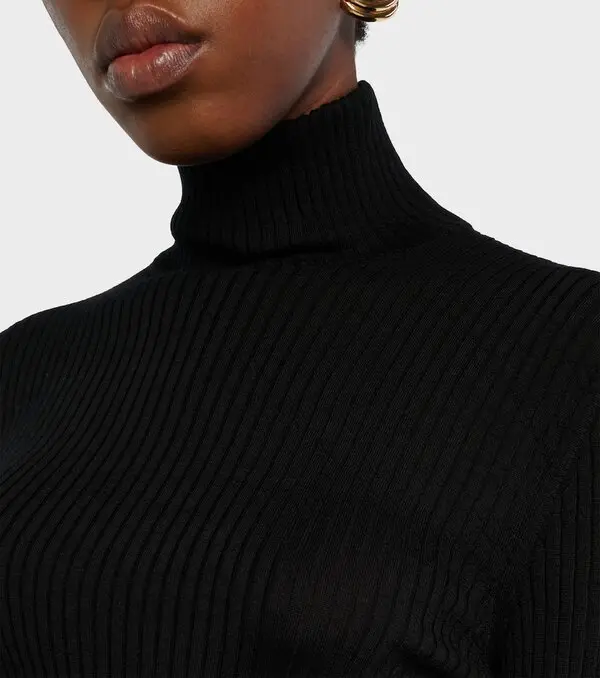 La DoubleJ High Kick Cashmere And Silk Turtleneck Sweater With Feather Trim - Black