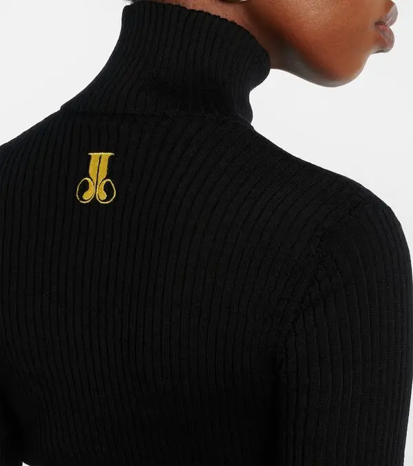 La DoubleJ High Kick Cashmere And Silk Turtleneck Sweater With Feather Trim - Black