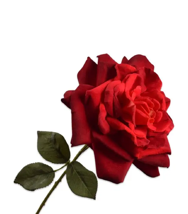SILK-KA Artificial Rose Flower - Red