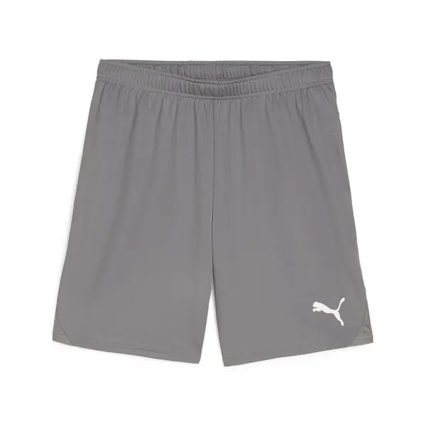 PUMA Teamgoal Soccer Shorts - Gray