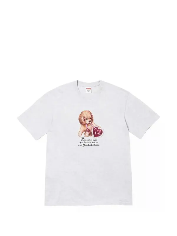 Supreme Dust T-shirt - Grey