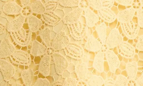Jones New York Floral Lace Top