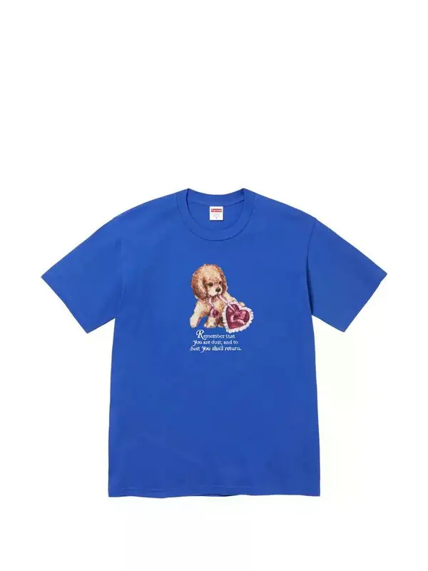 Supreme Dust Graphic-print T-shirt - Blue