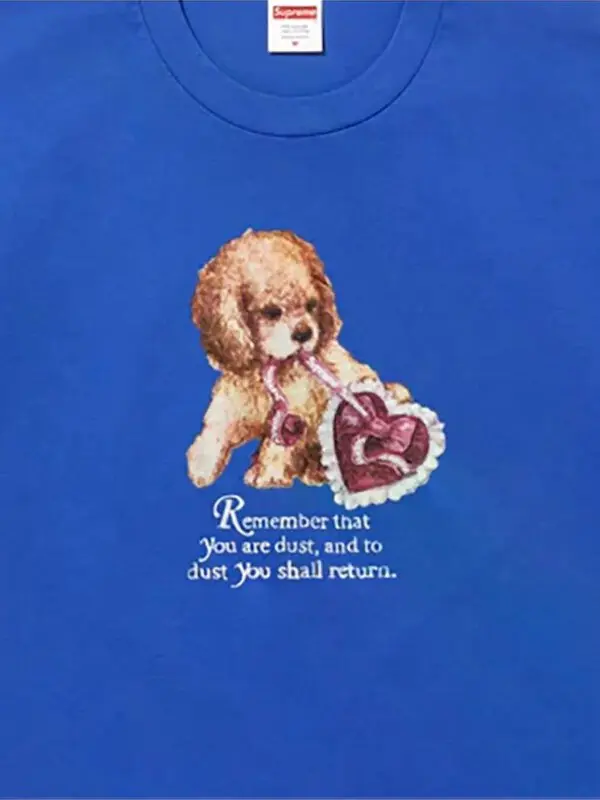 Supreme Dust Graphic-print T-shirt - Blue