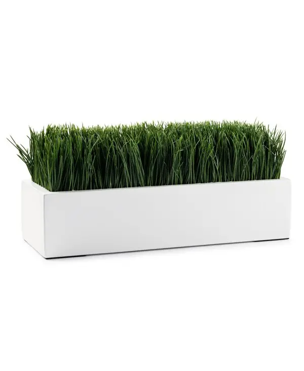 DOMANI HOME Rectangle Pot Grass Arrangement