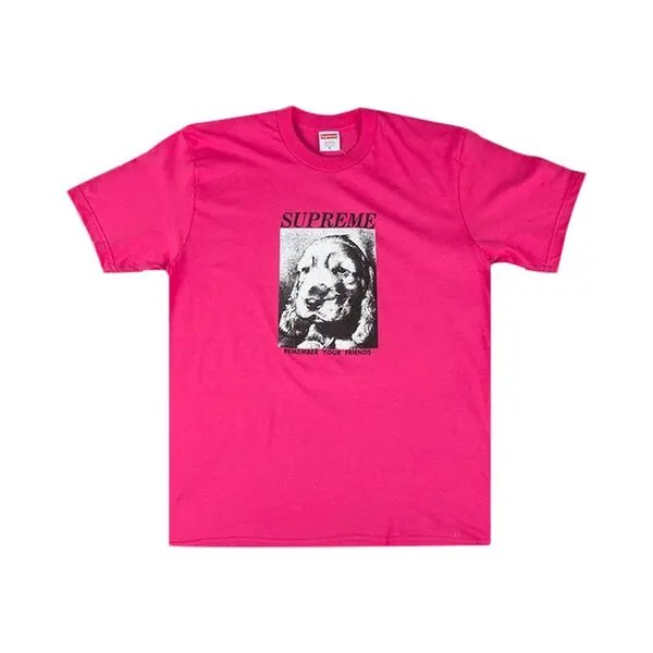 Supreme Remember T-shirt - Pink