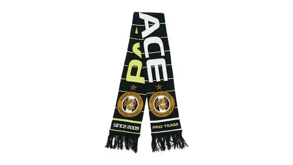 PALACE Pro Team Scarf - Black